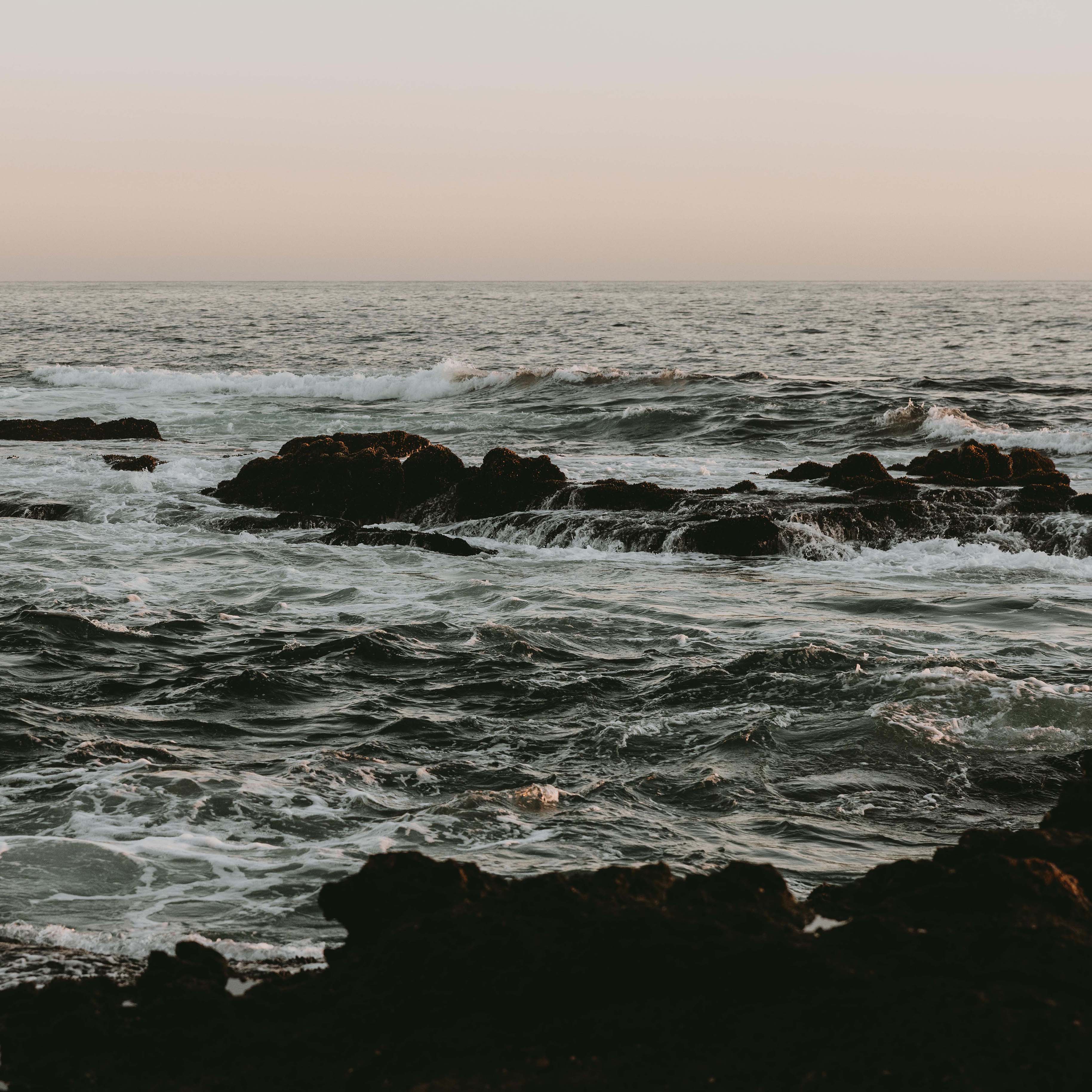 Collections – By Sharon Williams